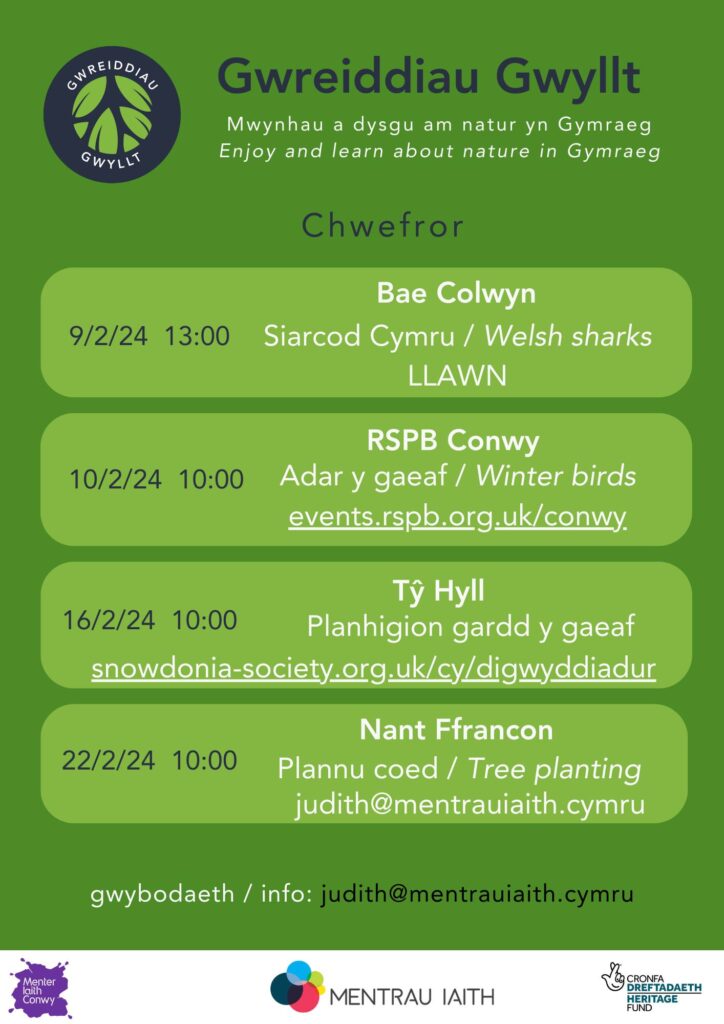 February Events - Menter Iaith Conwy